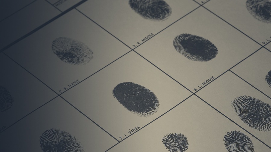 CopyCat Killers - REELZChannel