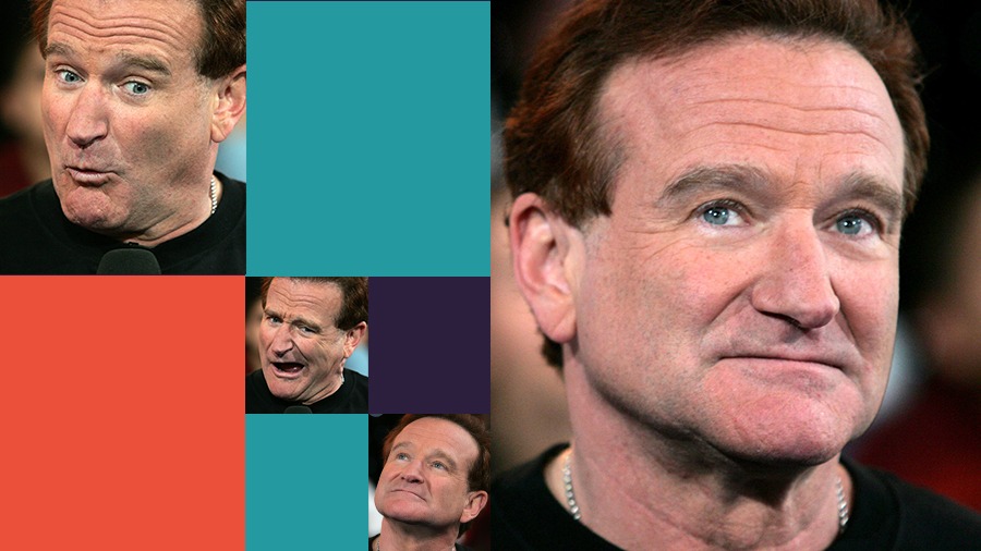 Robin Williams: When The Laughter Stops - REELZChannel