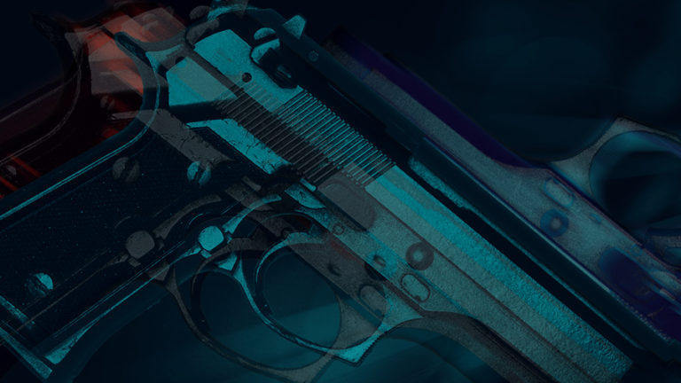 CopyCat Killers - REELZChannel