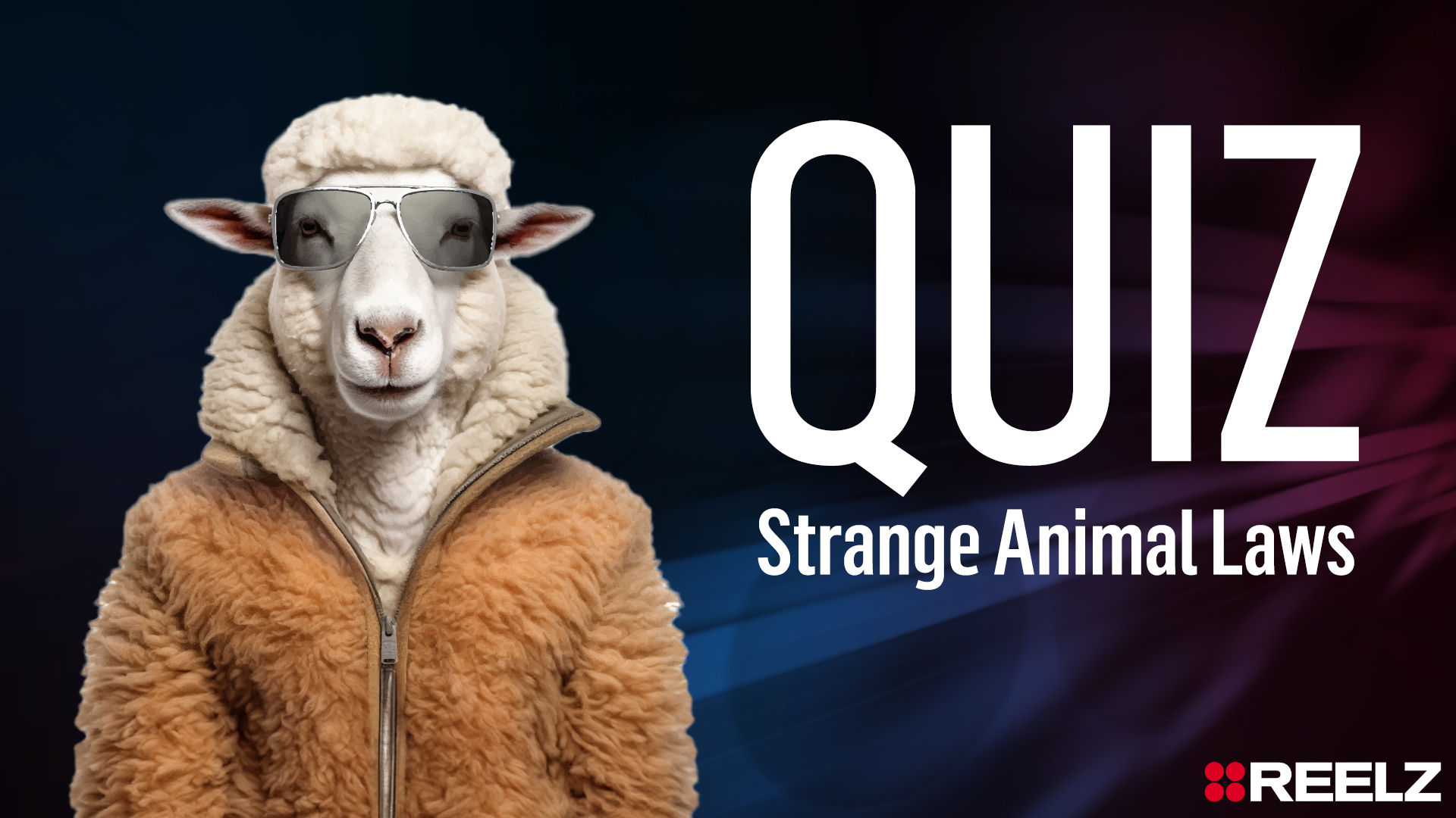 Quiz Strange Animal Laws REELZ Quiz Strange Animal Laws REELZ