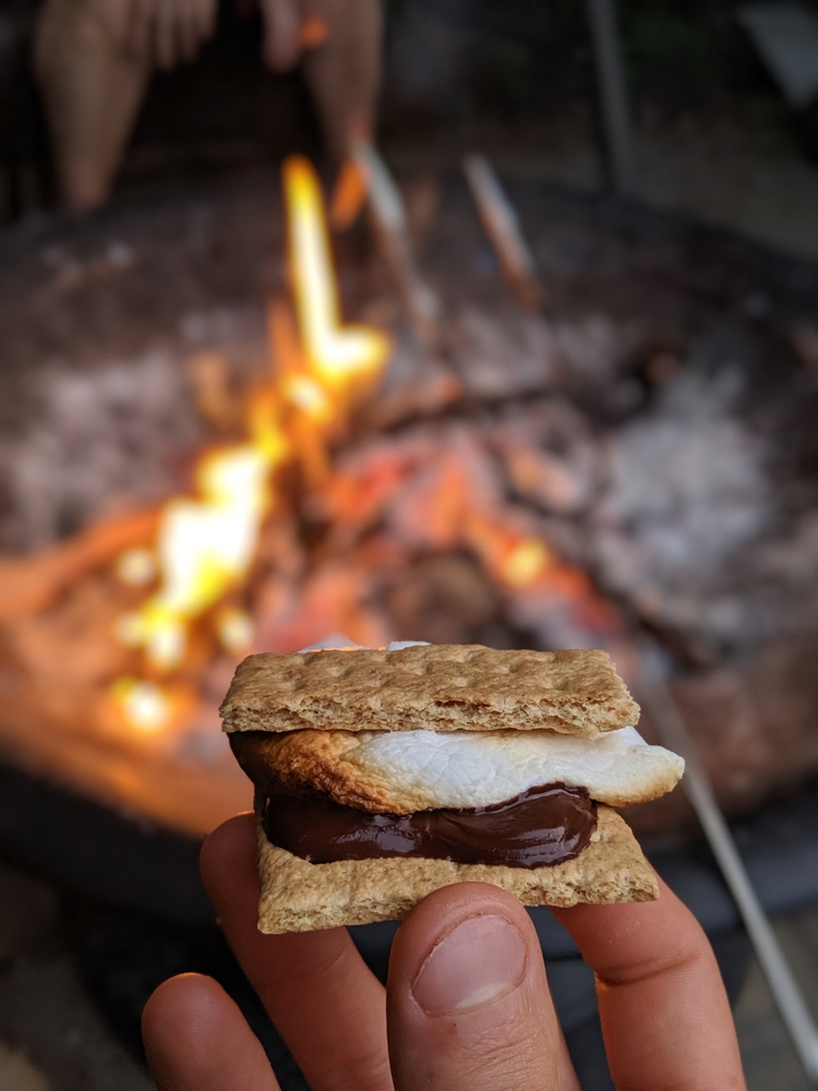 Toasting Summer Club REELZ Style - REELZ